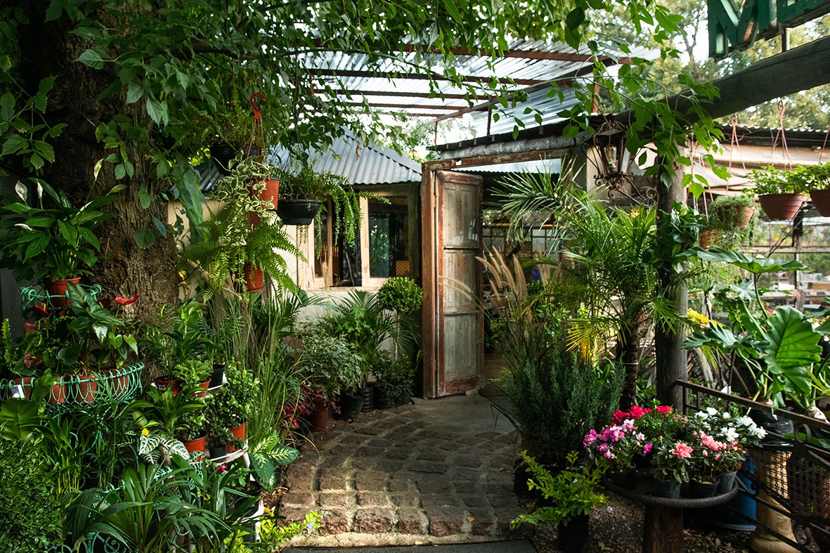 Vivero Gastronómico, un oasis en la ciudad - A La Carta - Portal de ...
